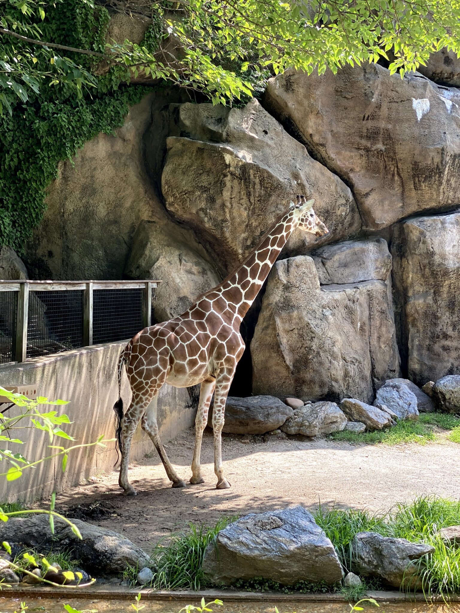 Exploring the Value of a Visit to Philadelphia Zoo - Let's Tour USA